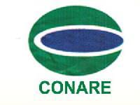 A Brighter Future: Journey to Empowerment with CONARE - Indiaisus